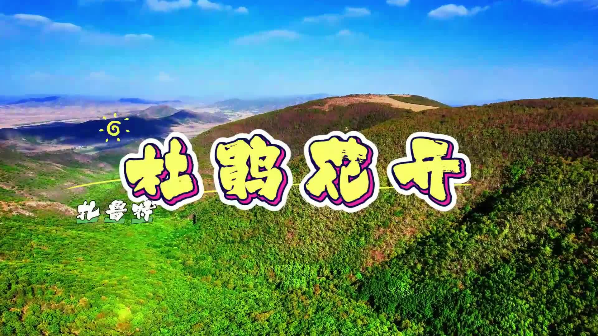 视频 - 新华网内蒙古频道